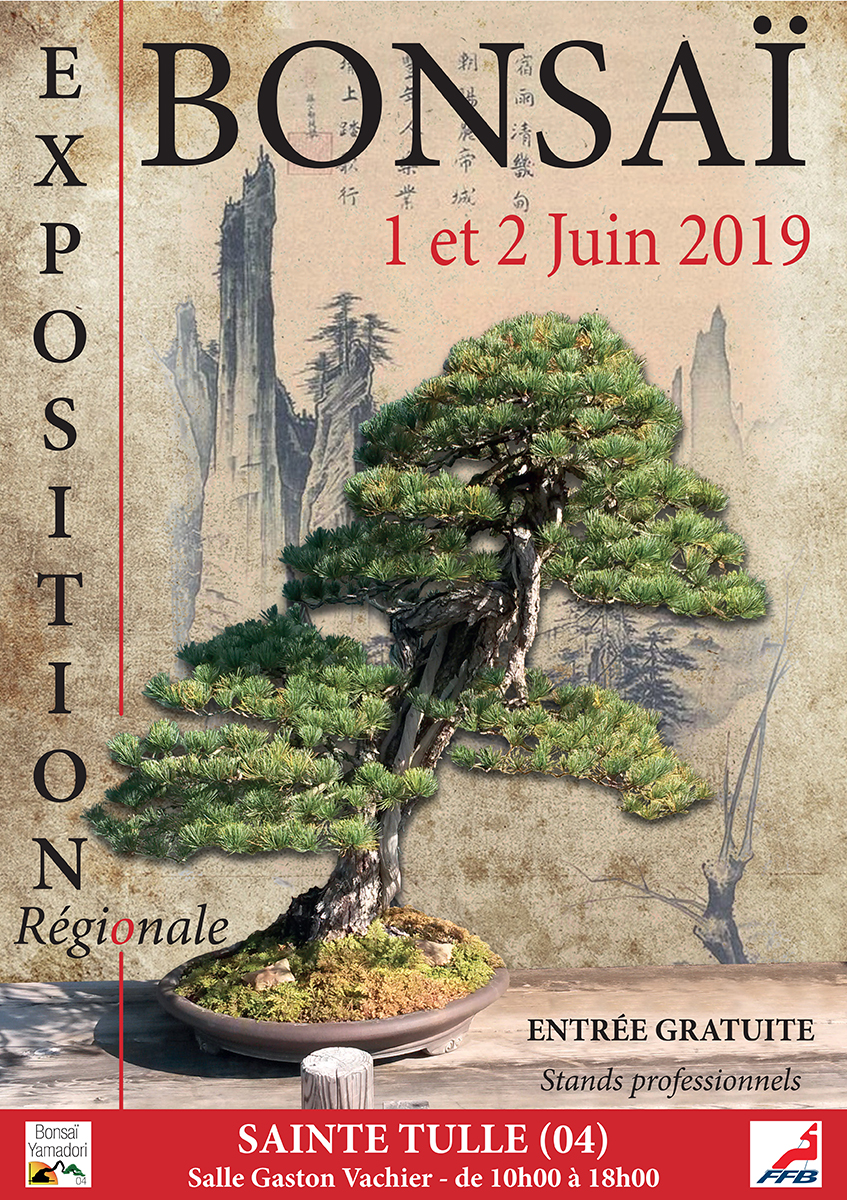 EXPOSITION REGIONALE DE BONSAI | Agenda | Magazine Mouv'in